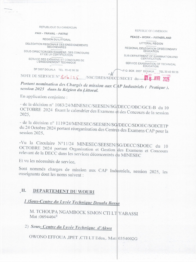 Cm Capi Pratiques | PDF