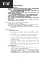 LESCANT Model | PDF