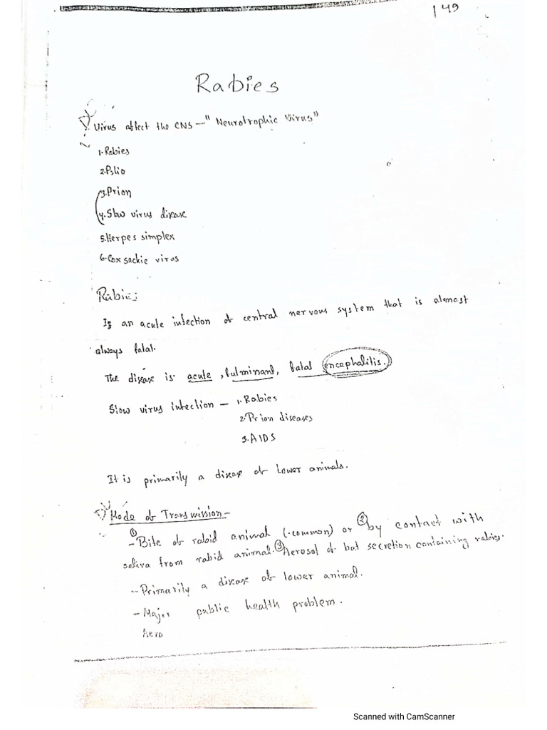Rabies Notes | PDF
