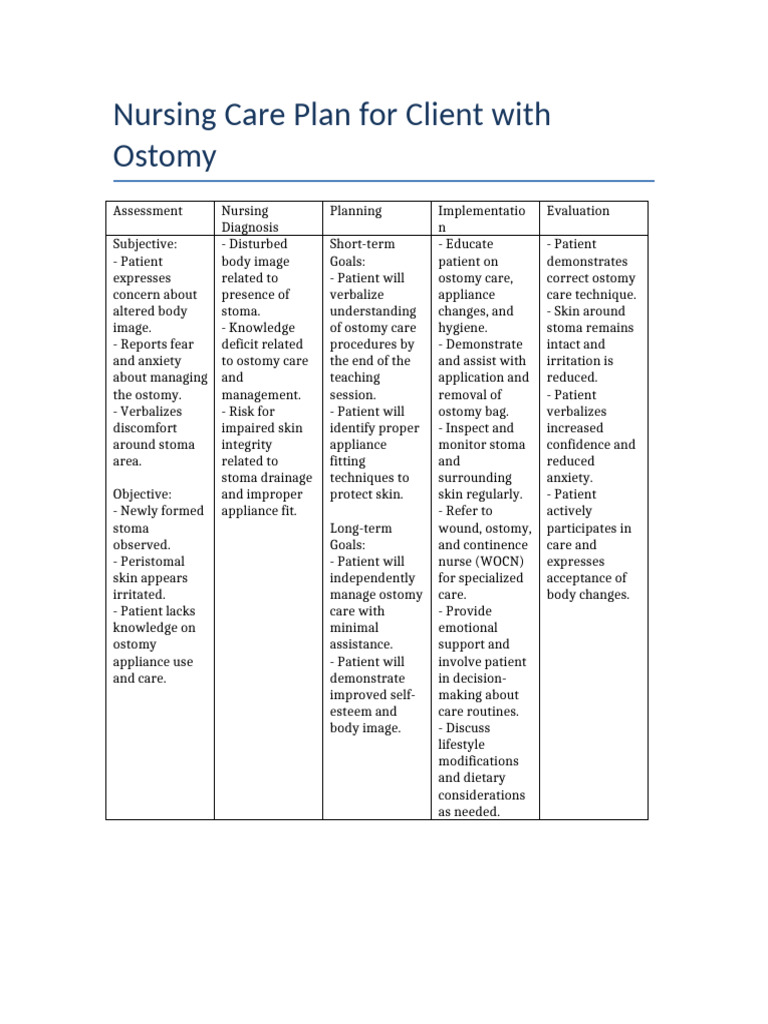Ostomy Nursing Care Plan Guide | PDF | Nursing | Patient