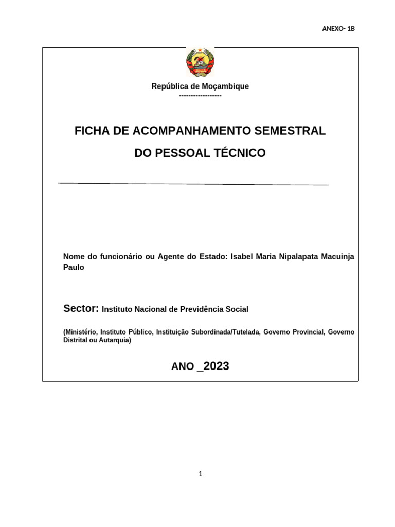 Acompanhamento Semestral de Desempenho | PDF