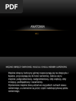 Anatomia Swini Atlas Interaktywny | PDF