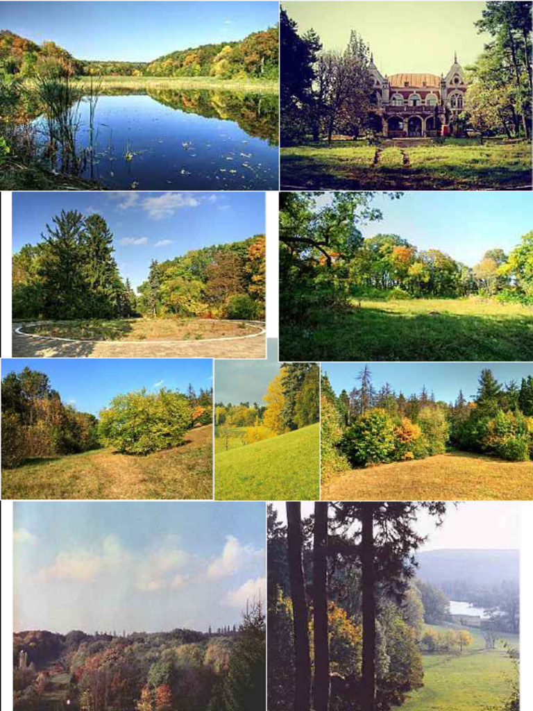 Parcul Taul Colaj | PDF