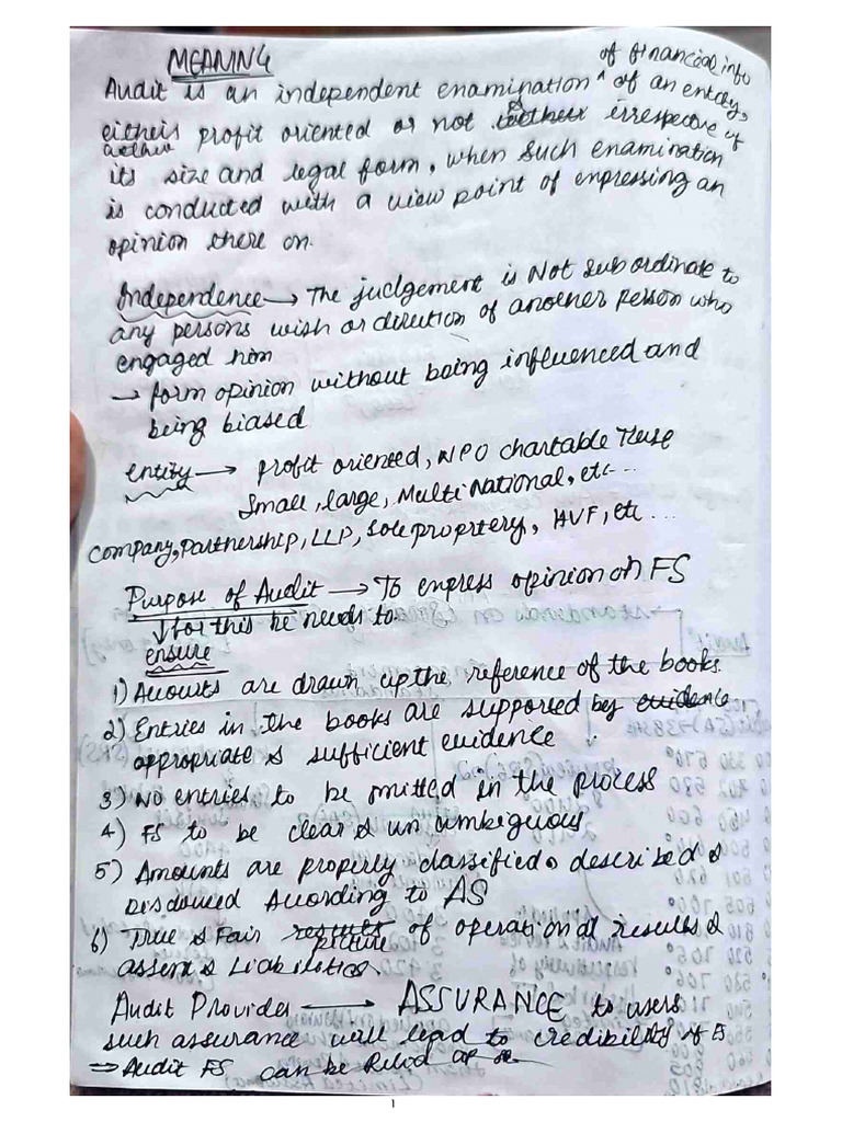 Audit Chapter 1 | PDF