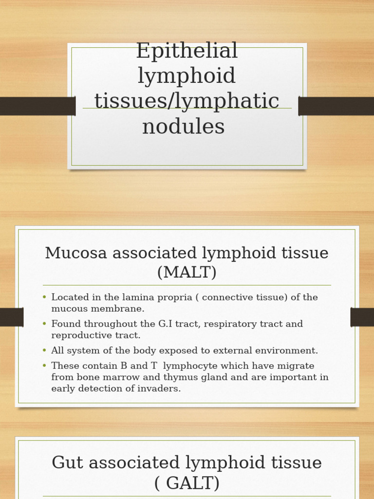 Epithelial Lymphoid Tissues | PDF