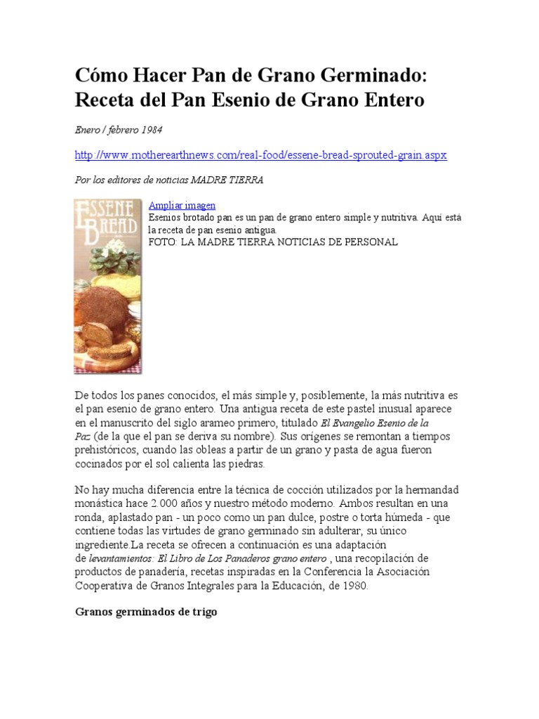 Cómo Hacer Pan de Grano Germinado Receta Del Pan Esenio de Grano Entero ...