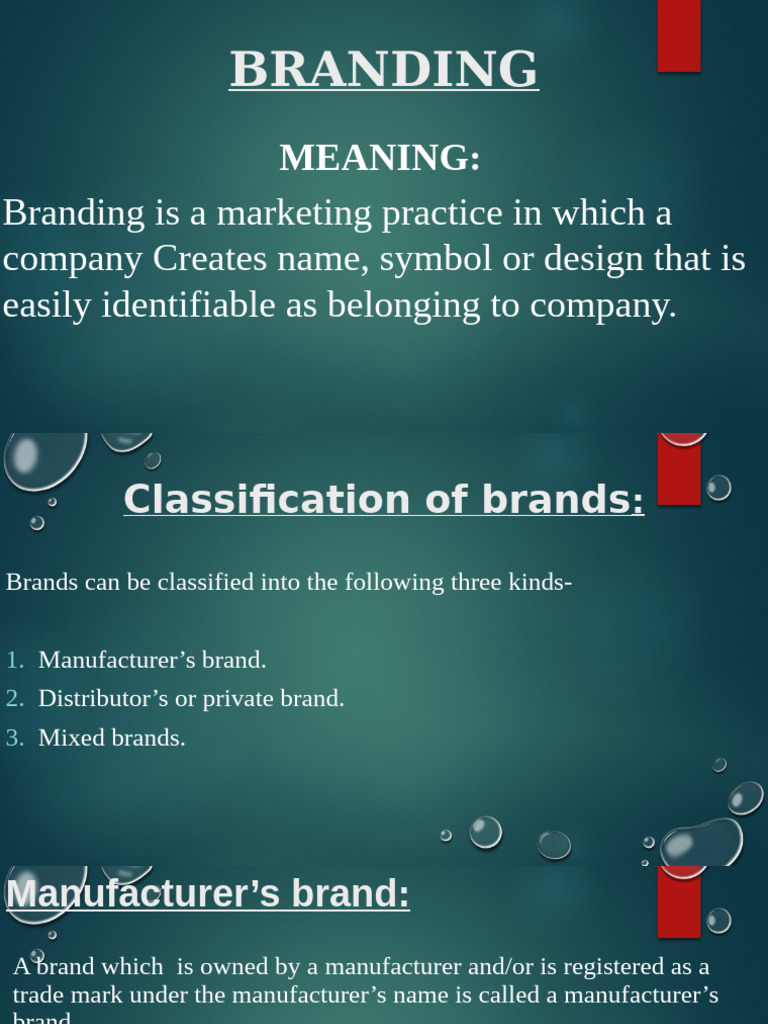 Branding Strategies | PDF