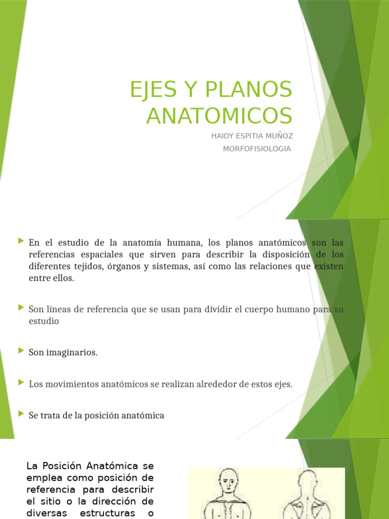 Ejes y Planos Anatomicos | PDF | Términos anatómicos de ubicación | Mano