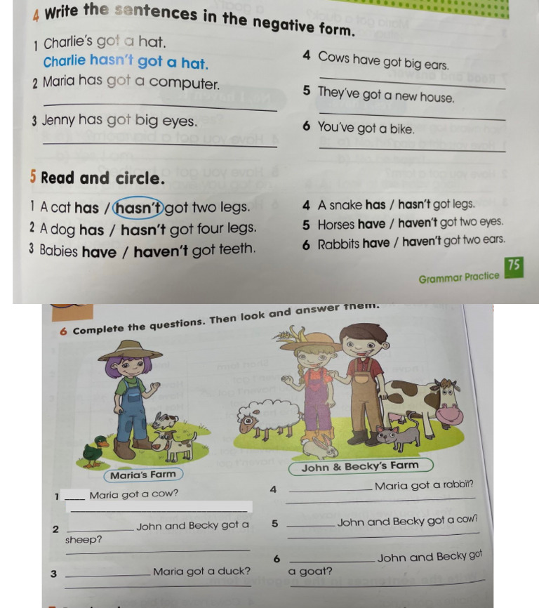 Have Got Exercises | PDF