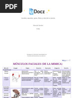 Músculos de La Mímica | PDF | Nariz humana | Anatomía humana