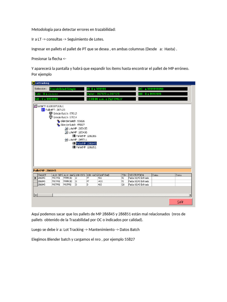 Metodología para Detectar Errores en Trazabilidad | PDF