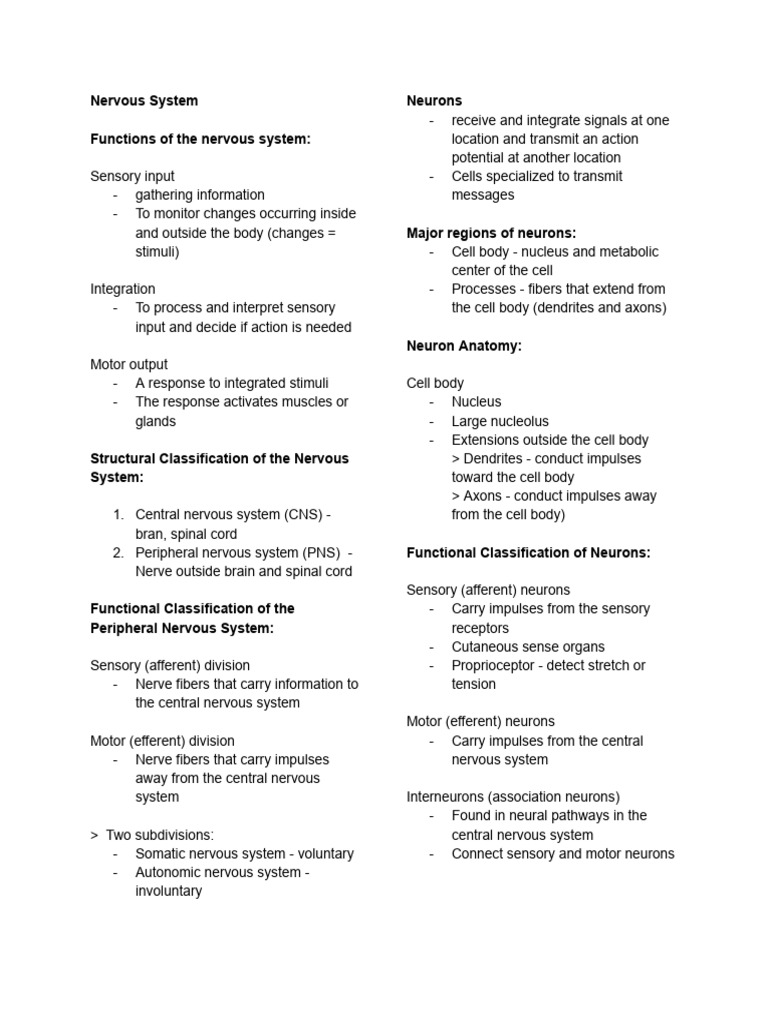 Nervous System Reviewer | PDF | Nervous System | Cerebrum