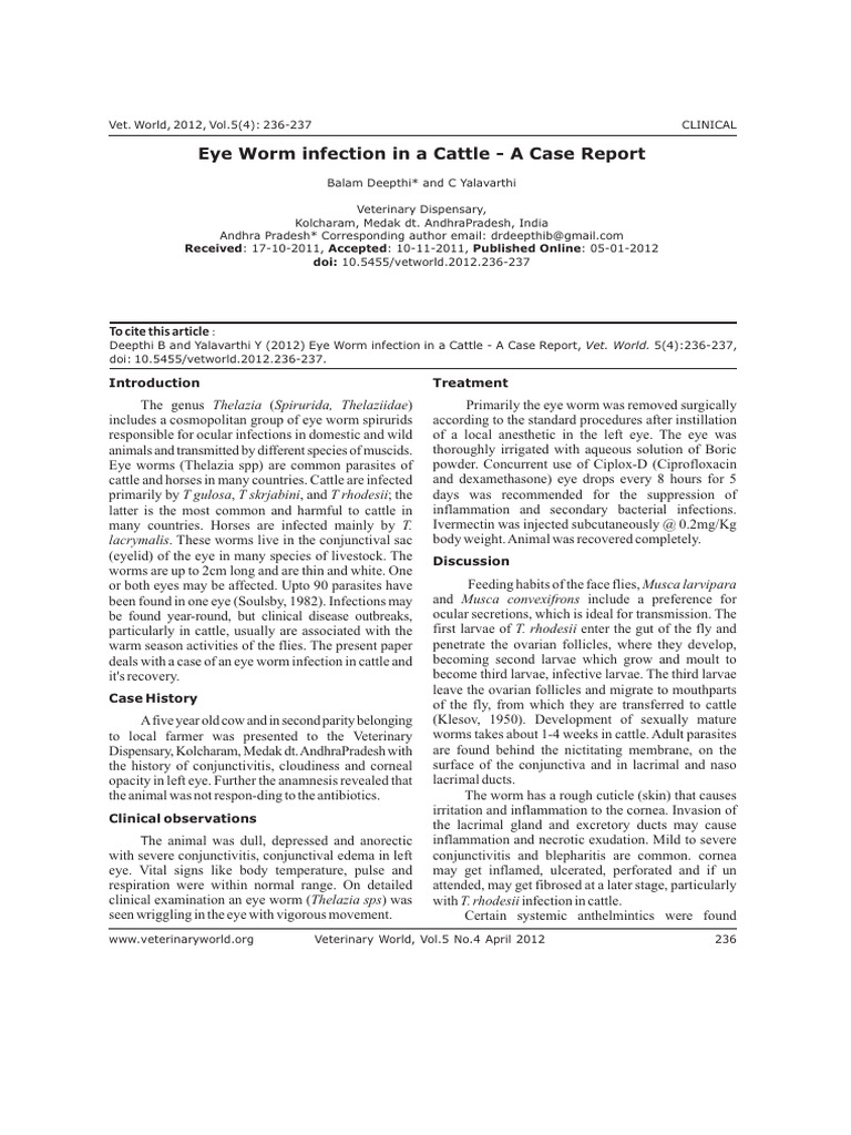 Eye Worm Infection in A Cattle | PDF | Medical Specialties