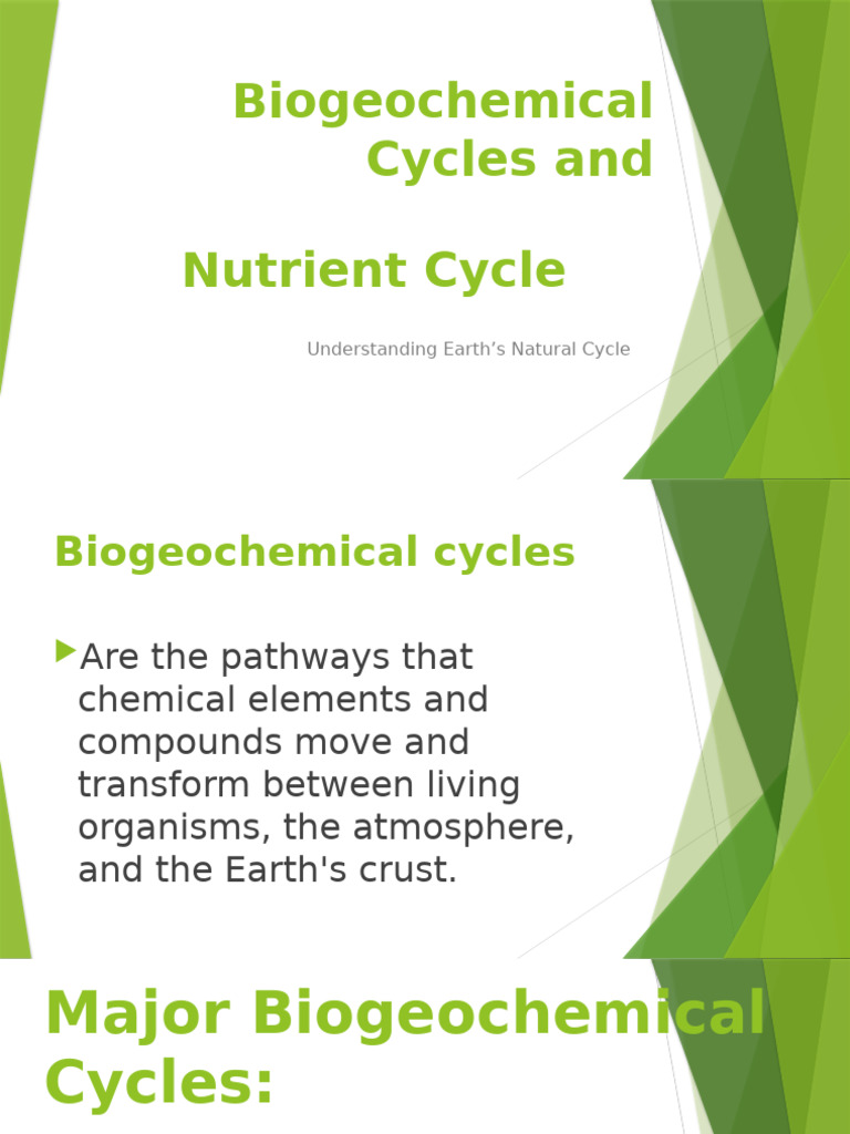 Biogeochemical Cycles and Nutrient Cycle | PDF | Plant Nutrition | Soil