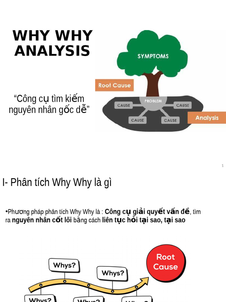 Why Why Analysis Document | PDF