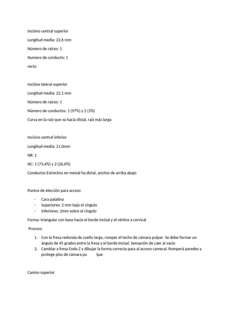 Morfología Interna | PDF