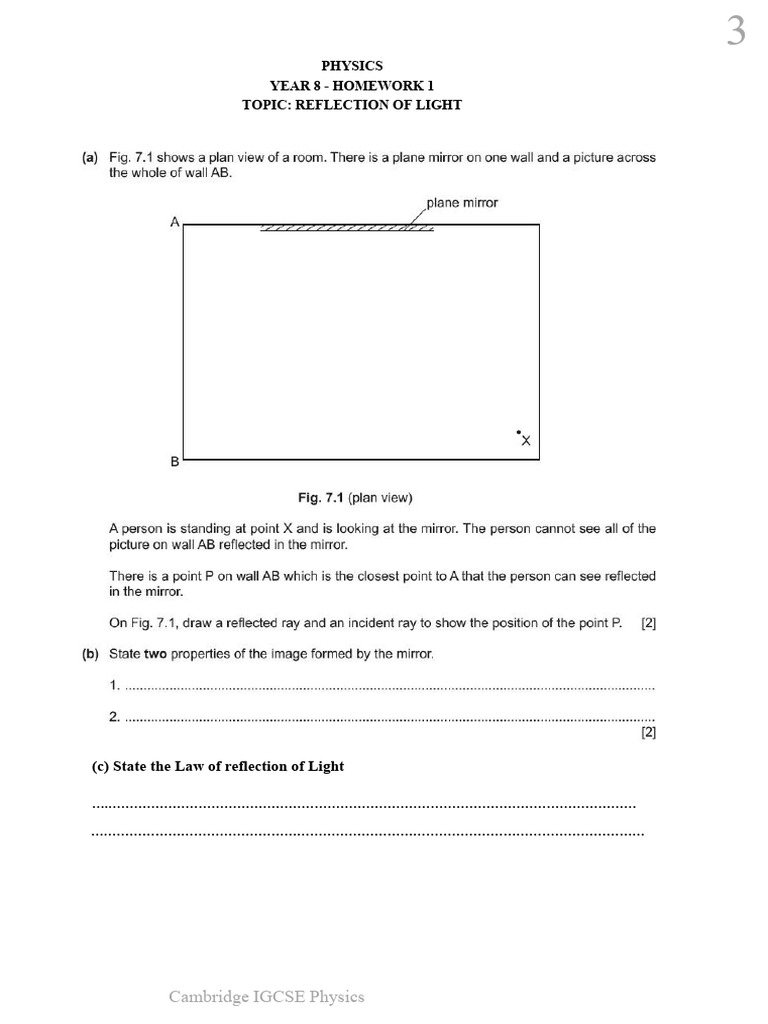 Year 8 HW 1 Light | PDF
