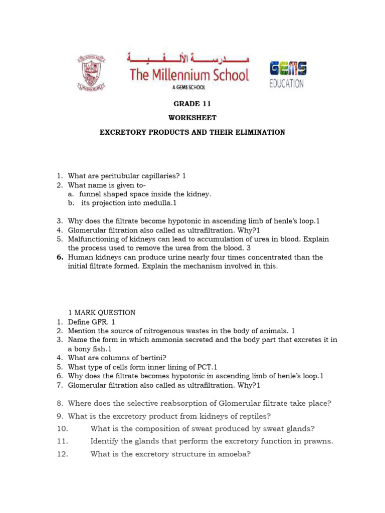 Excretory Products and Their Elimination Worksheet | PDF | Kidney ...