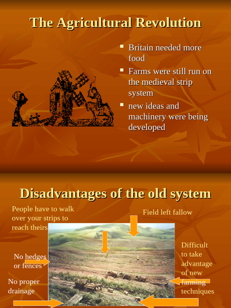 Agricultural Revolution | PDF | Enclosure | Agriculture