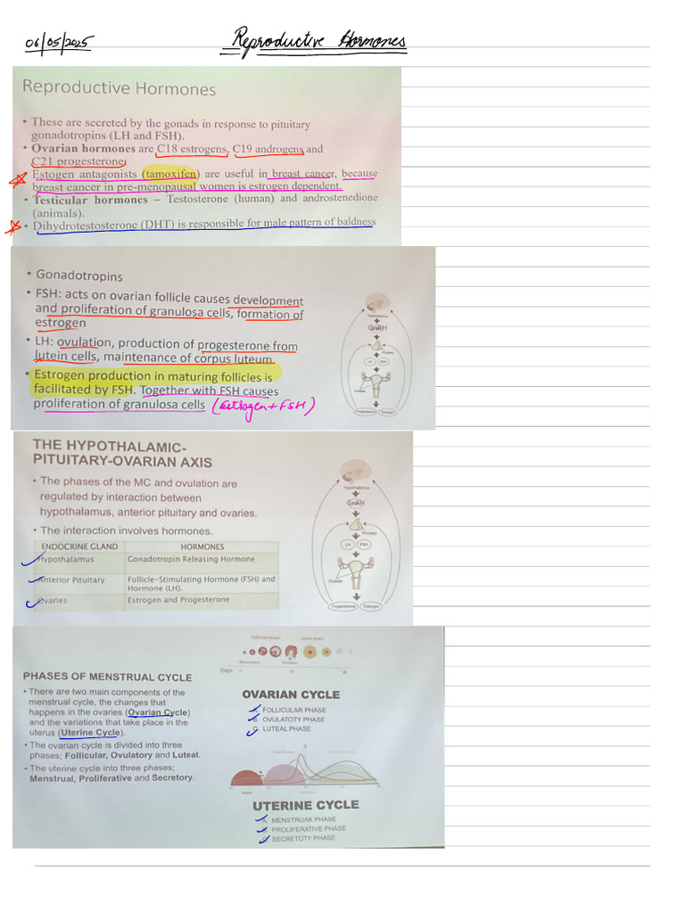 Reproductive Hormones | PDF