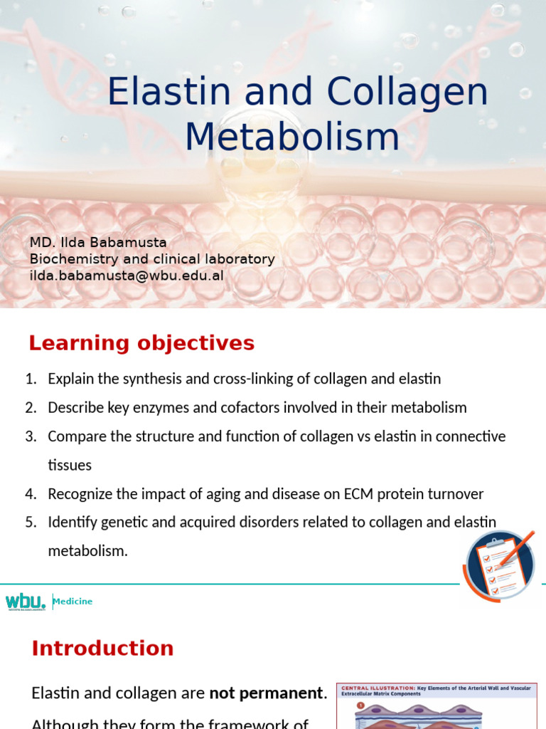 Elastin and Collagen Metabolism | PDF | Collagen | Extracellular Matrix