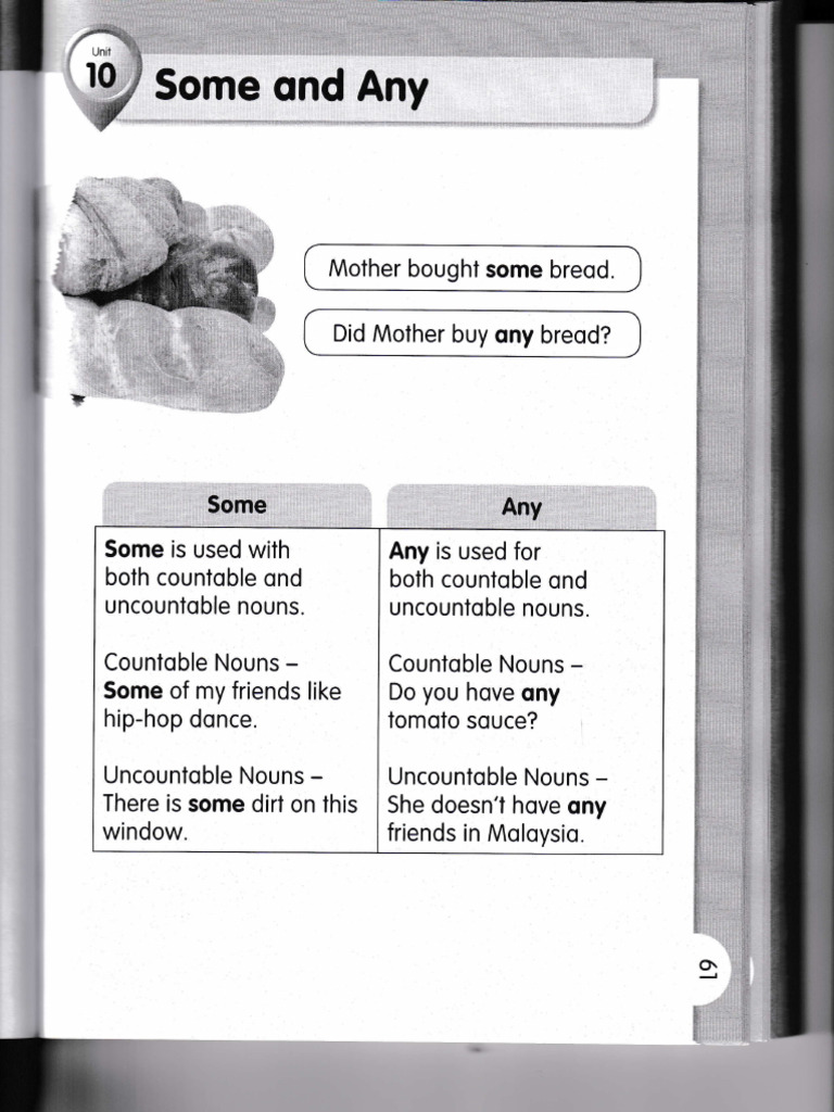 Conquer Grammar Some and Any | PDF