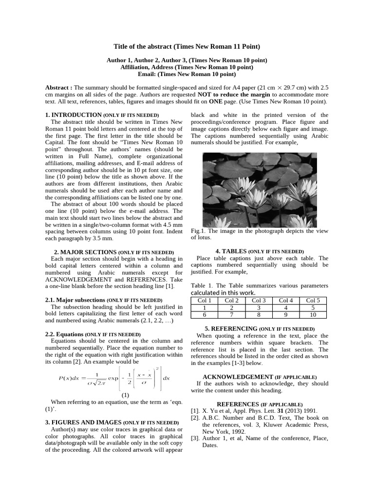 Abstract Template ICMAGMA-2025 | PDF | Times New Roman | Publishing