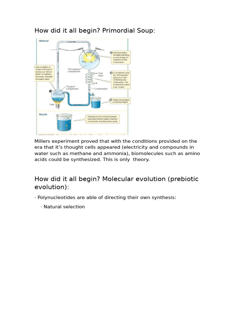 Origins of Life: From Primordial Soup to Cells | PDF