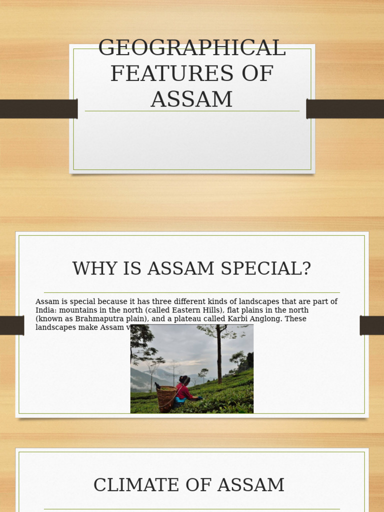 Geographical Features of Assam | PDF