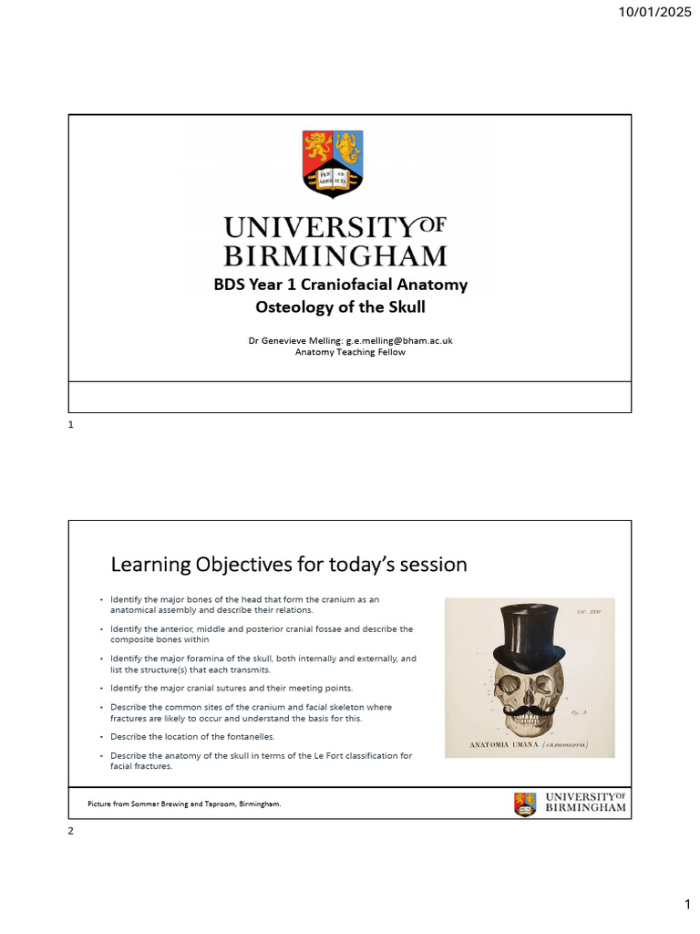 Osteology of The Skull 2 Slides | PDF | Skull | Human Nose