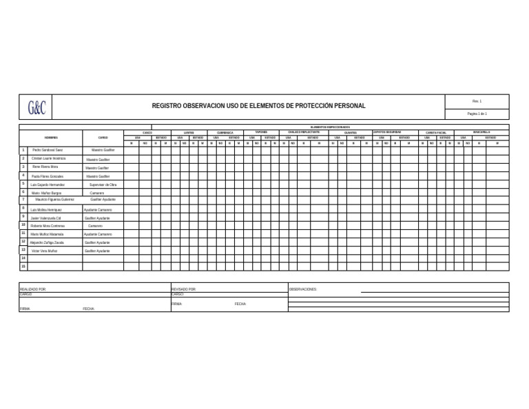 Formato Inspeccion EPP EXCEL | PDF
