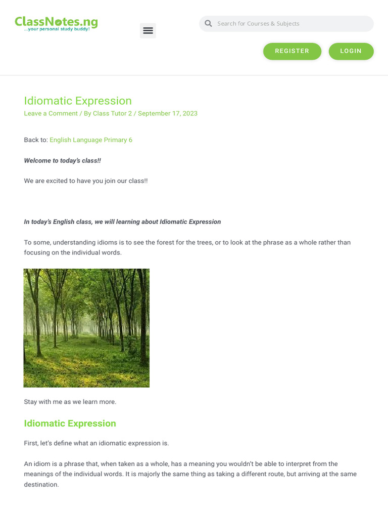 Understanding Idiomatic Expressions | PDF | Idiom | Linguistic Morphology
