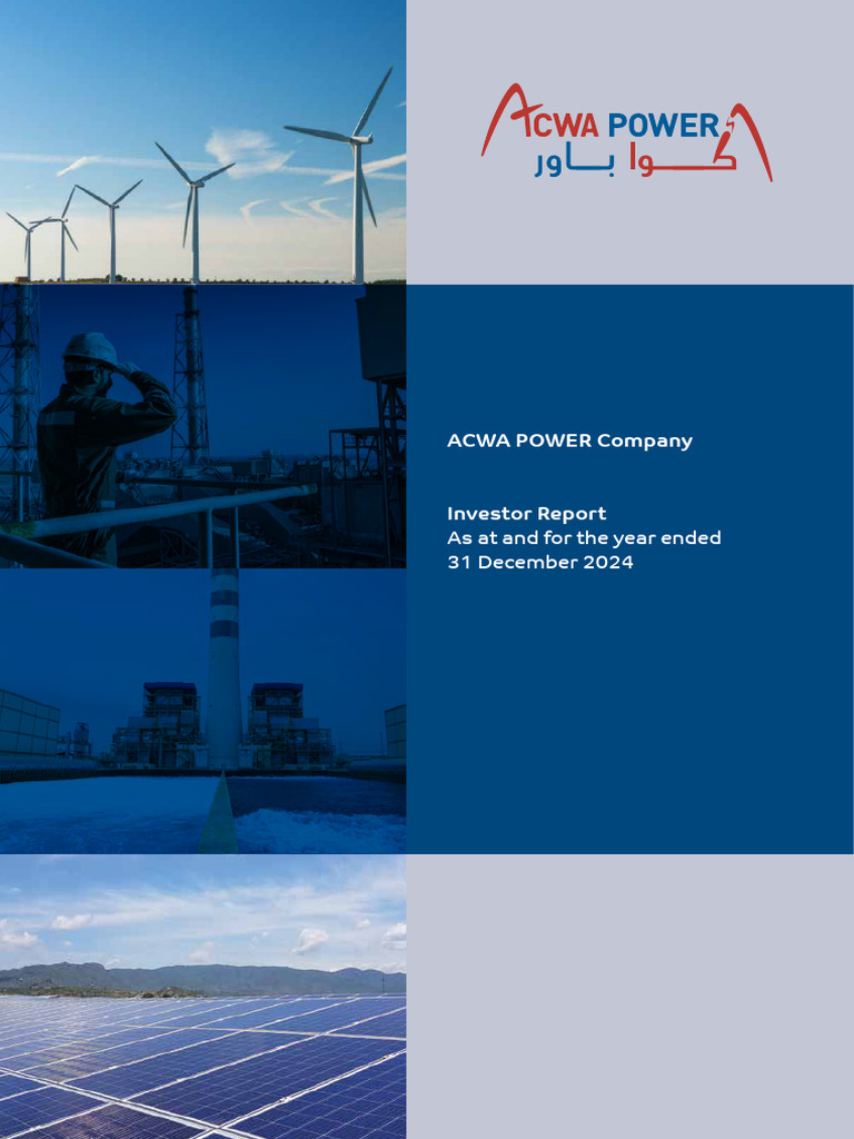 ACWA Power Company-Annual Report (Feb-25-2025) PG 20 | PDF | Interest ...