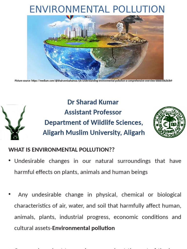 3 Environment Pollution-Air Pollution | PDF | Air Pollution | Particulates