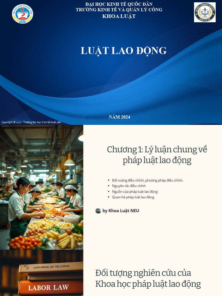 Slides Luat Lao Dong | PDF