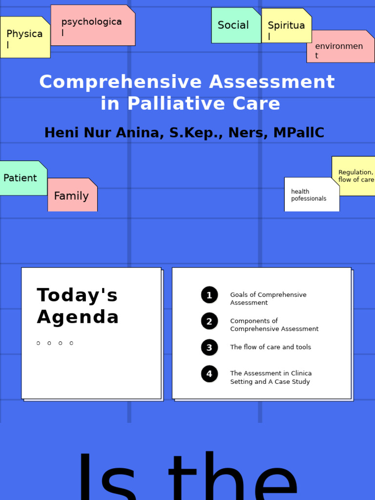 Comprehensive Assesment | PDF | End Of Life Care | Palliative Care