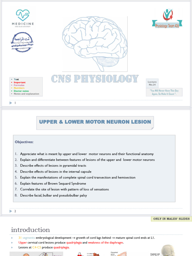 24-Upper & Lower Motor Neuron Lesions | PDF | Spinal Cord | Motor Neuron