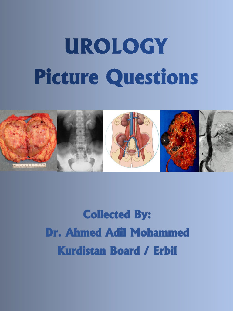 Urology Picture Questions | PDF | Urology | Medical Specialties
