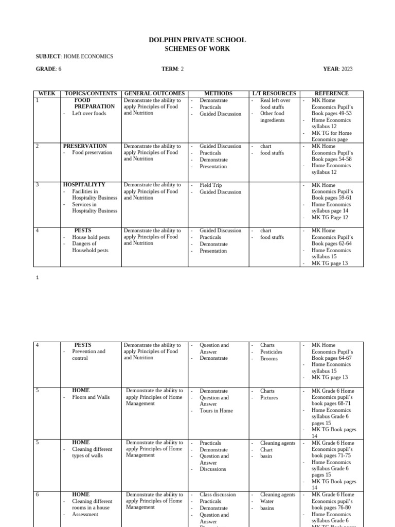 Grade 6 Home Economics Term 2 Plan | PDF | Laundry