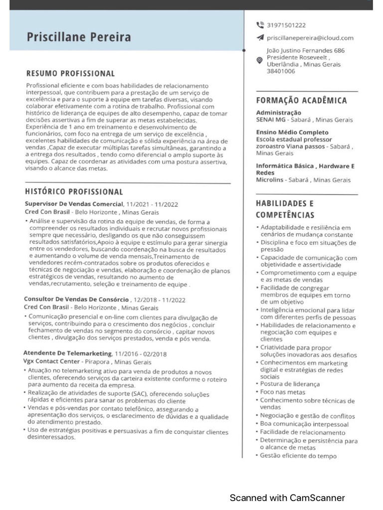 Currículo Atualizado | PDF