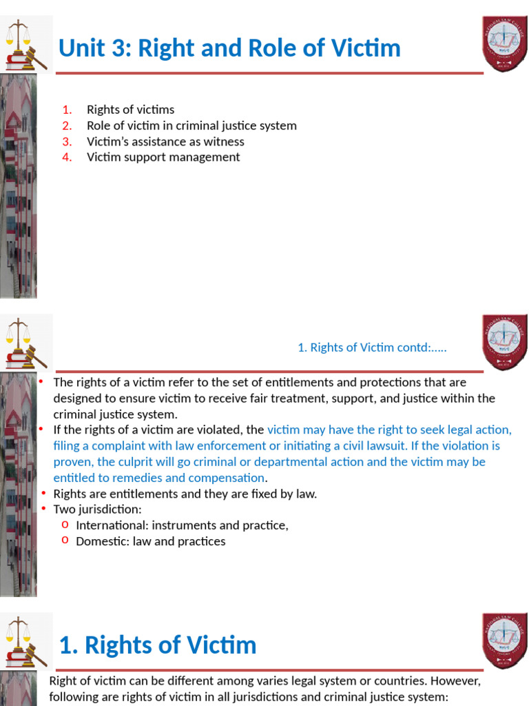 Victim Rights and Support in Justice Systems | PDF | Crimes | Crime ...
