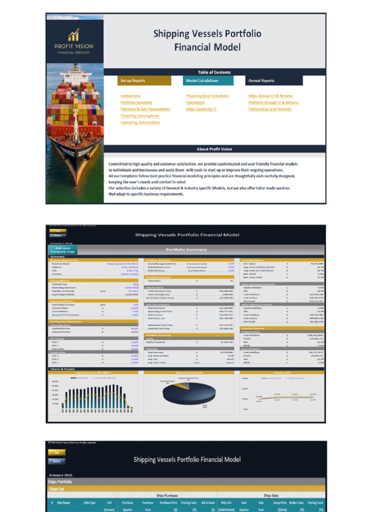 Shipping Vessels Portfolio Financial Model | PDF