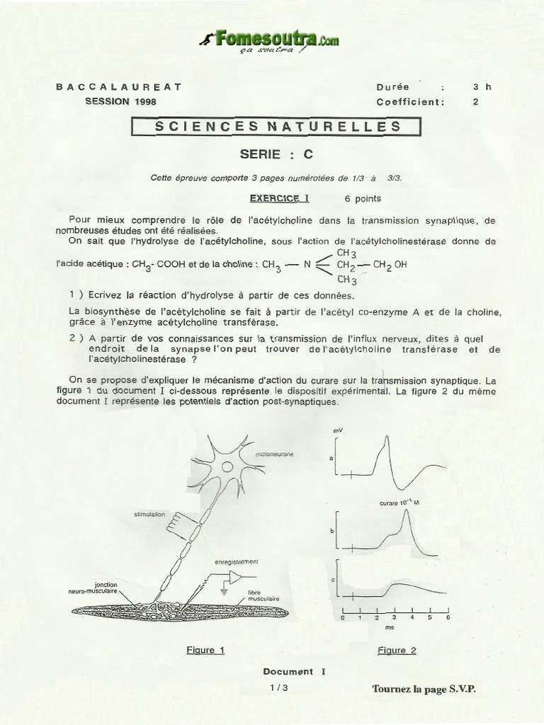 Sujets SVT Bac C 1998 | PDF