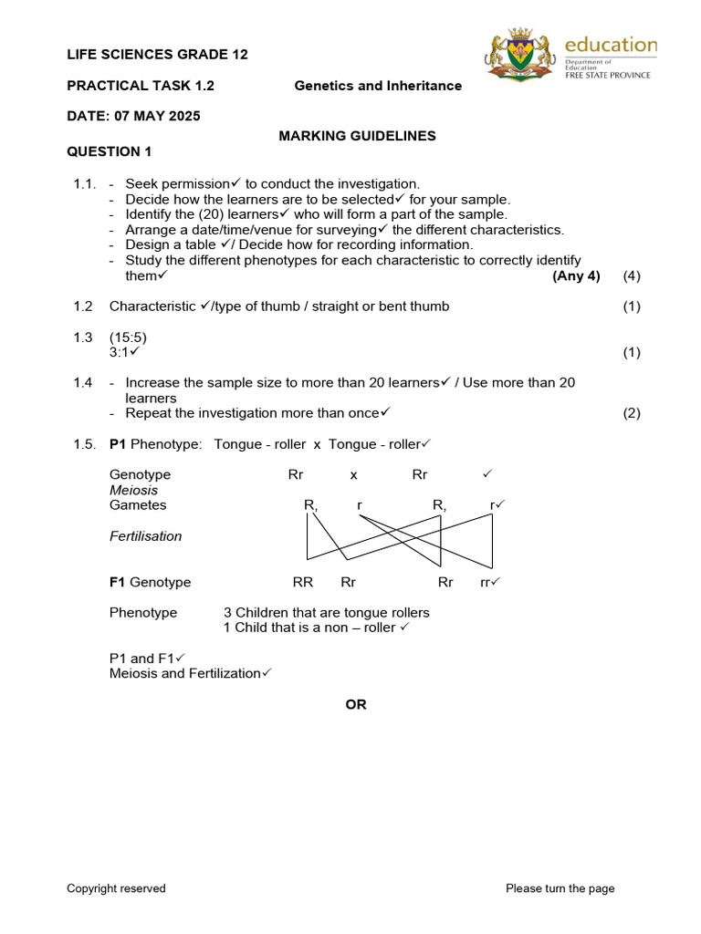 Grade 12 Genetics Practical Task 2025 | PDF | Evolutionary Biology ...