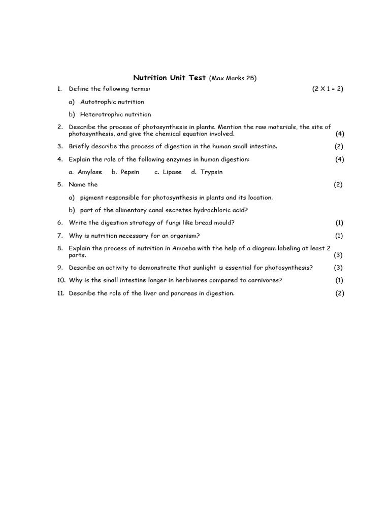 Nutrition Unit Test | PDF