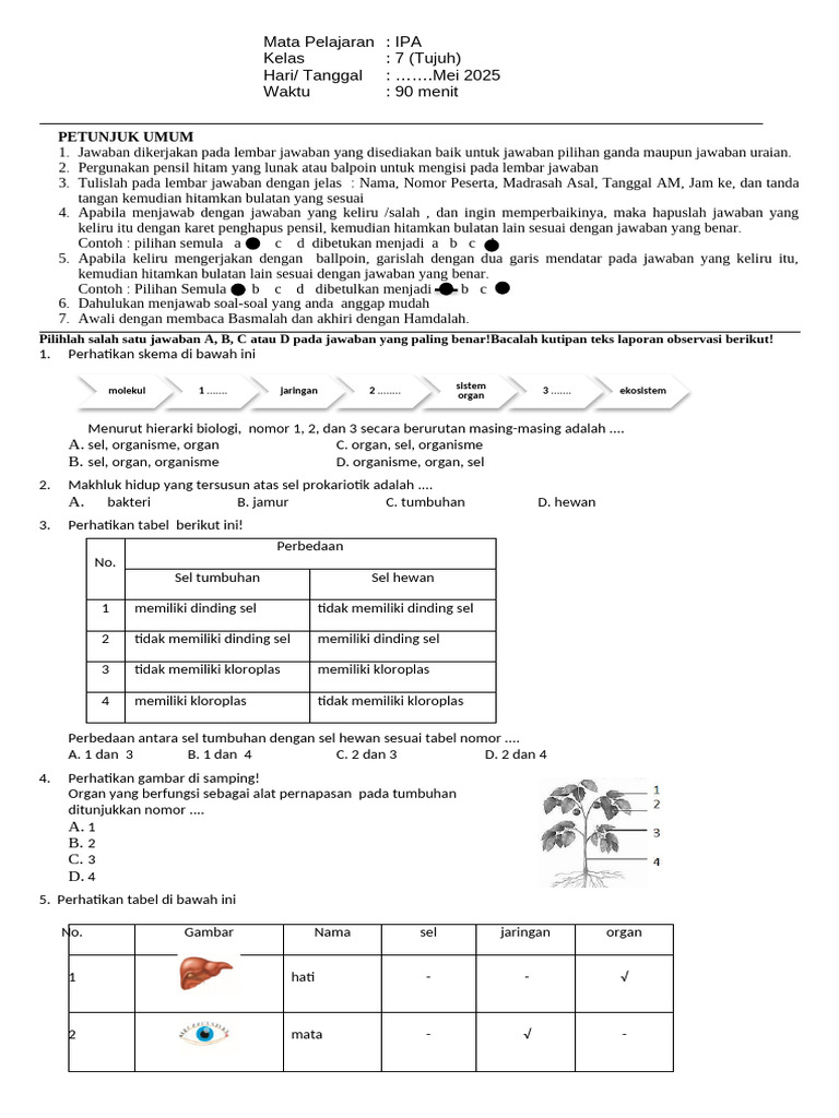 Soal PAT IPA Kelas 7 | PDF