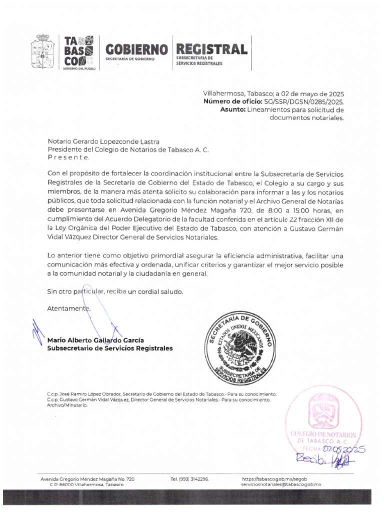 Lineamientos de Documentos Notarial de Servicios Registrales | PDF | Gobierno