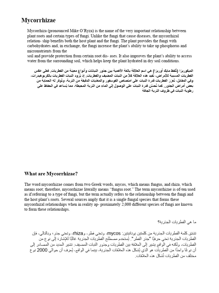 Mycorrhizae | PDF