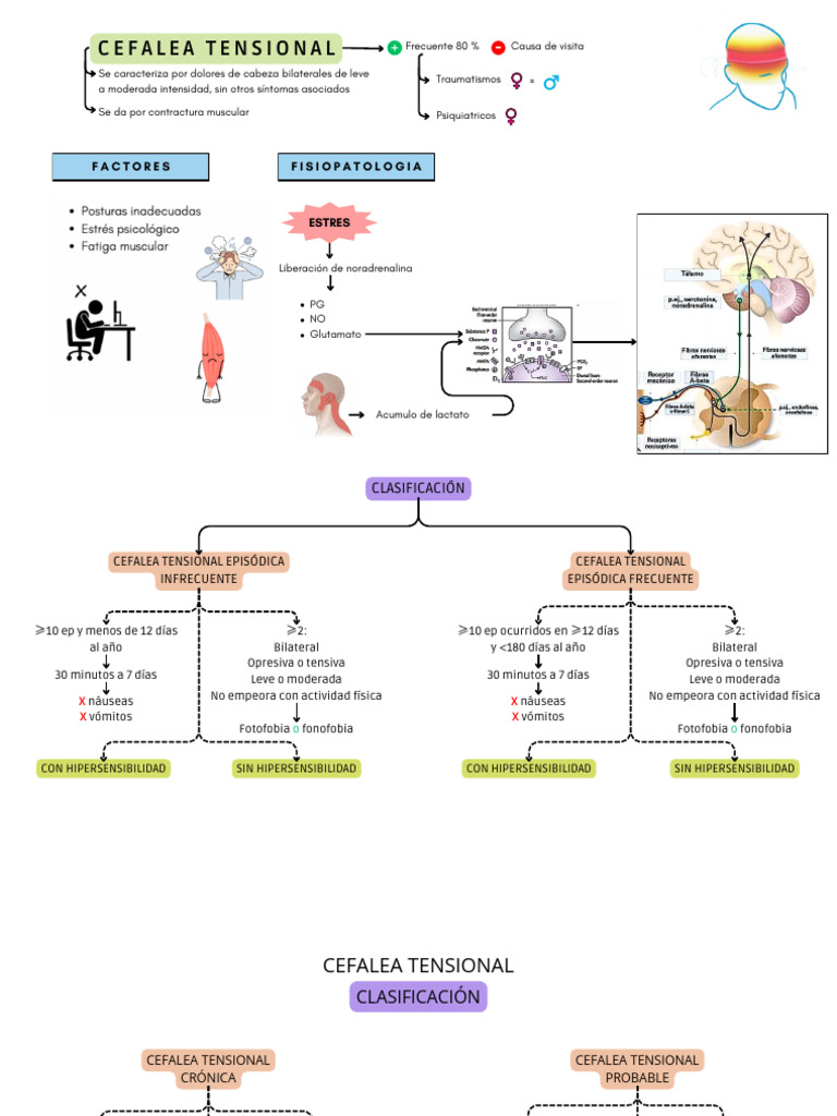 Migraña y Cefalea Tensional | PDF | Migraña | Dolor de cabeza