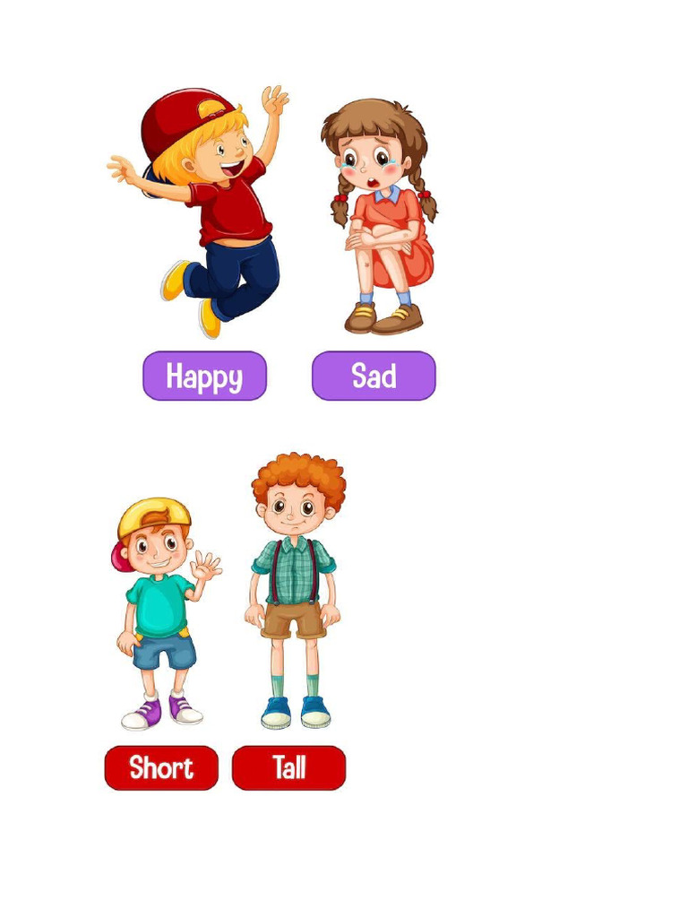Adjetives Flashcard | PDF